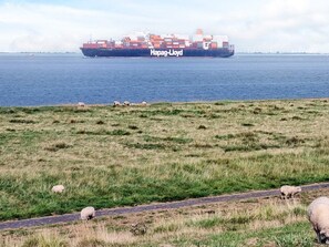 Um navio de carga chamado 'Hapag-Lloyd' em um corpo de água, com uma área gramada e uma estrada ao primeiro plano.