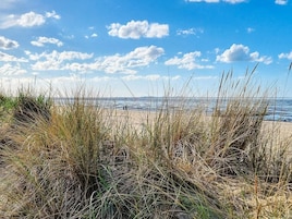 Uma praia com gramíneas altas e céu claro.