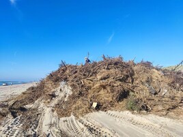 Uma praia arenosa com uma grande quantidade de destroços e marcas de pneus.