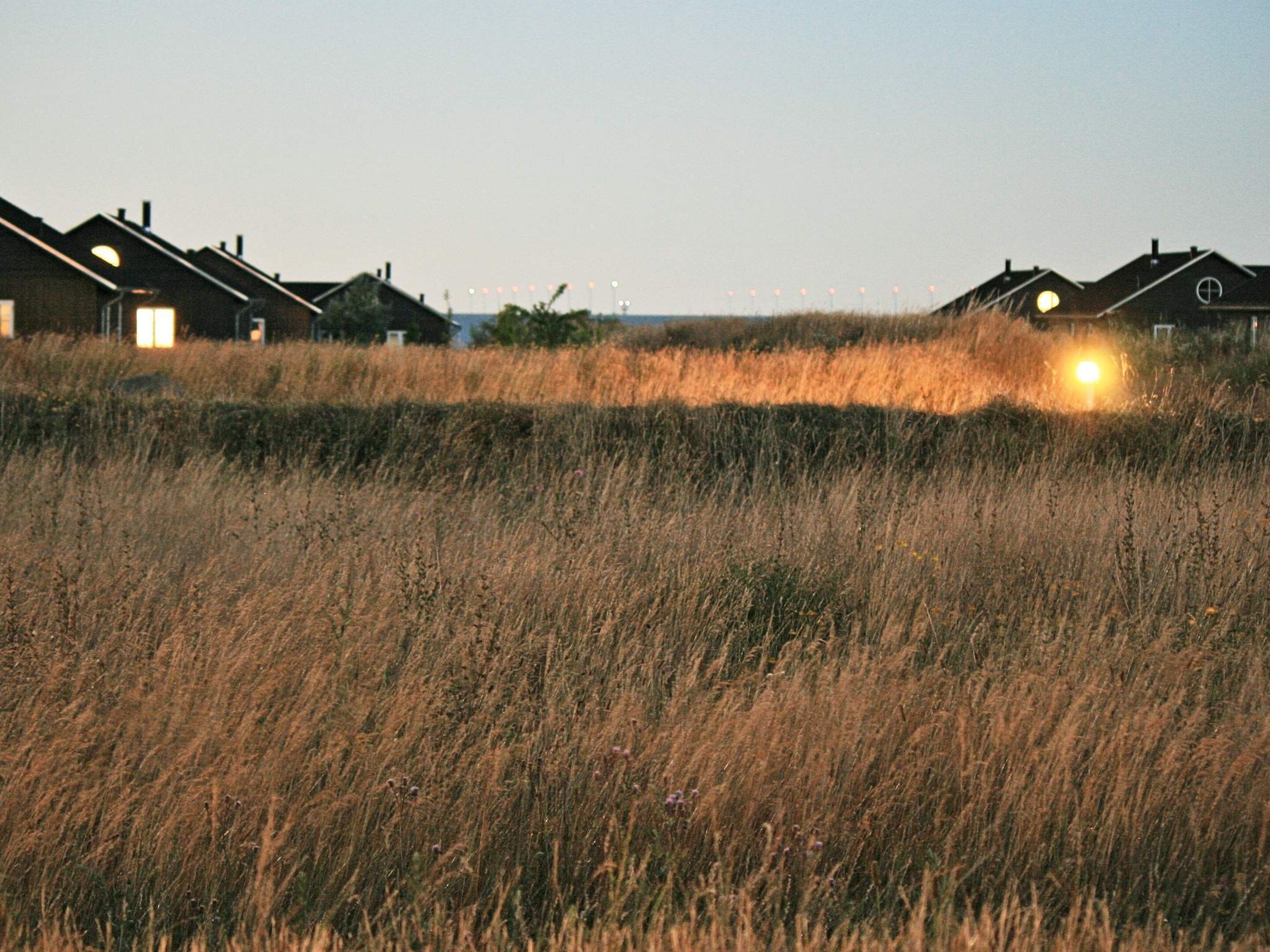 Fileira de casas com um campo gramado em primeiro plano.