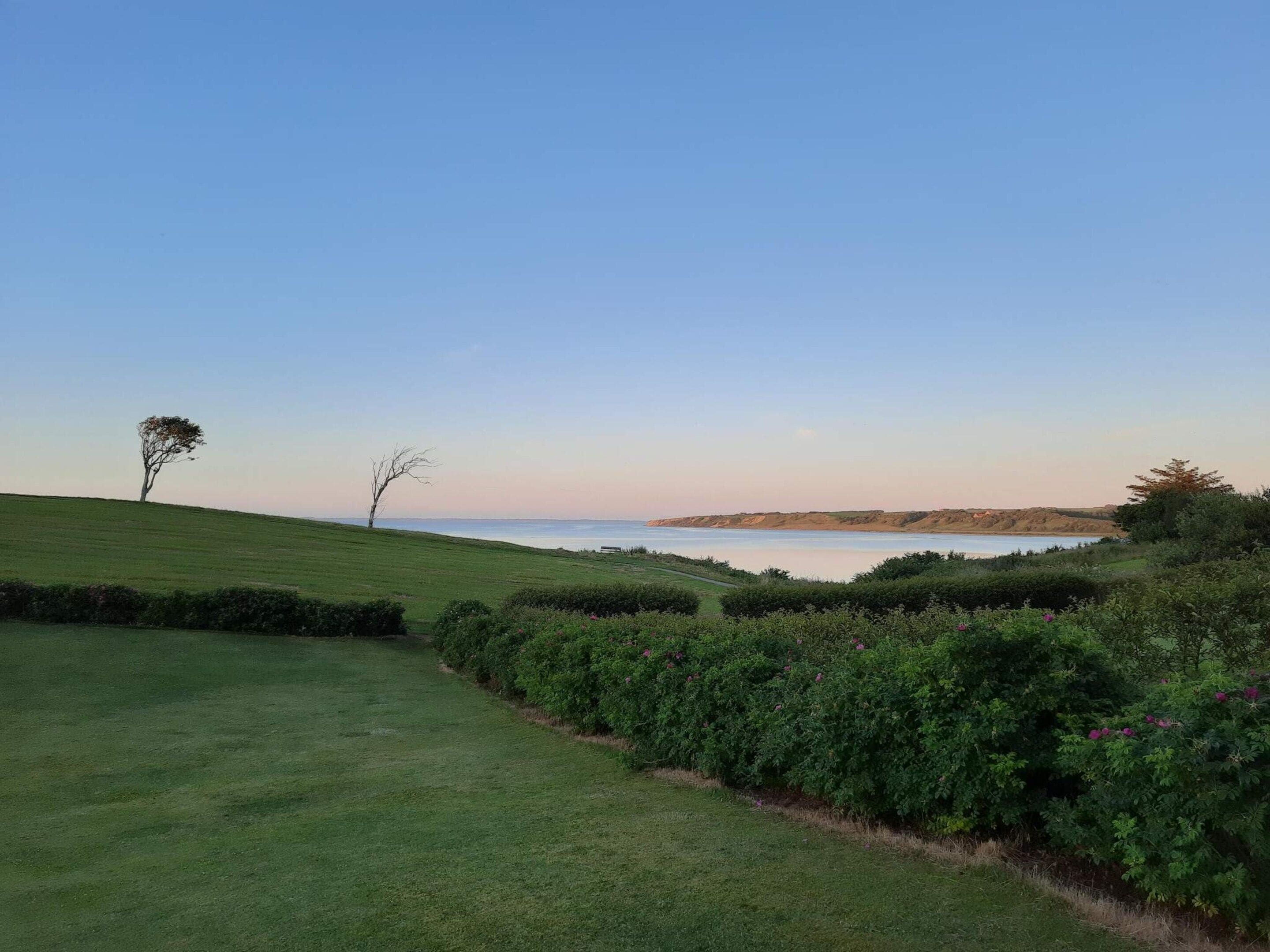 Paisagem com grama, uma árvore, um arbusto e vista para o mar.
