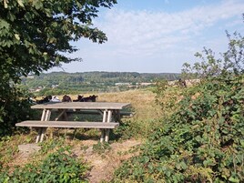 Casa | Opções para refeição ao ar livre