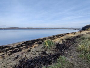 Paisagem costeira com praia arenosa, algas marinhas e uma superfície de água calma.