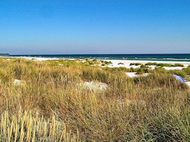 Uma praia com dunas de areia e gramíneas altas.