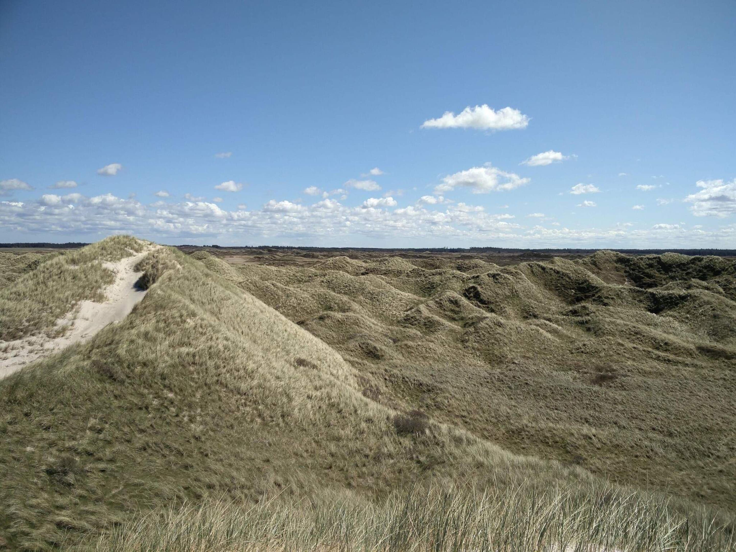 Paisagem de dunas com um caminho visível.