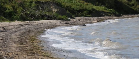 Uma praia com ondas, pedras e vegetação.