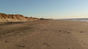 Uma extensa praia arenosa com dunas e céu claro.