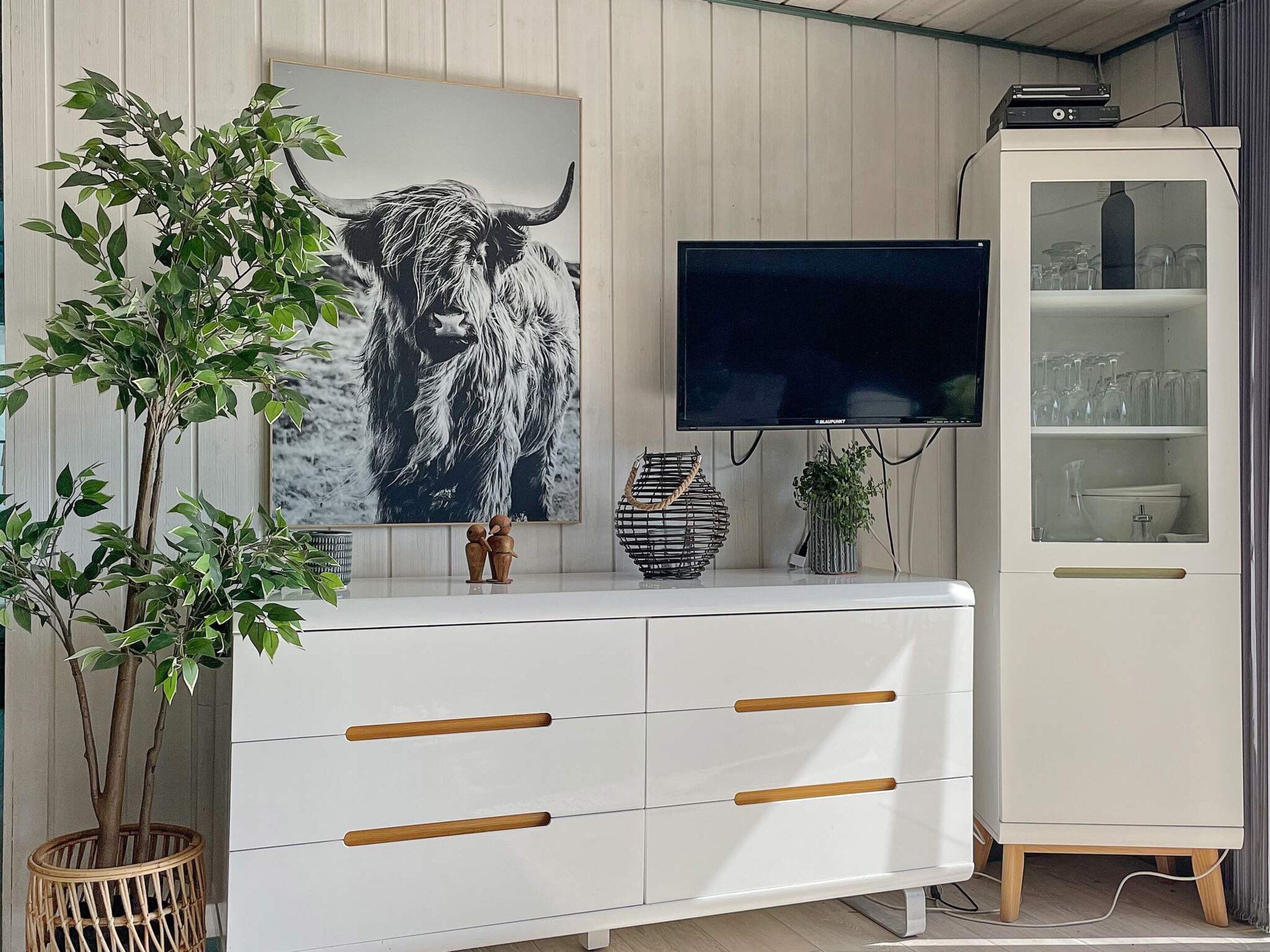 Uma sala de estar moderna com um armário branco, televisão fixada na parede, uma pintura de touro grande e um vaso com planta.