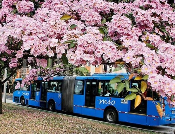 Apartamento em Condomínio Fechado, 2 quartos, varanda | Terrenos do alojamento
