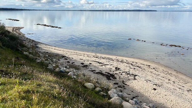 Um lago tranquilo com uma praia arenosa e margem rochosa.