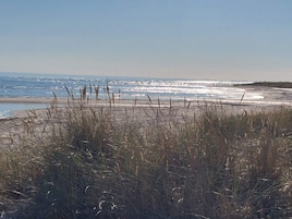 Uma praia com dunas de areia e grama ao primeiro plano.