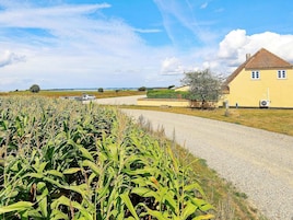 Paisagem rural com estrada de cascalho, uma casa amarela com telhado de telhas e um campo de milho.