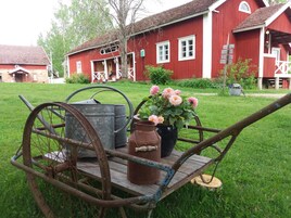 Área da propriedade