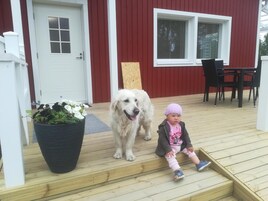 Terrenos do alojamento