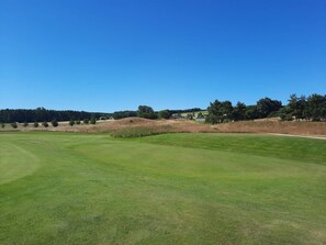 Um campo de golfe com céu limpo, grama bem cuidada e árvores ao fundo.