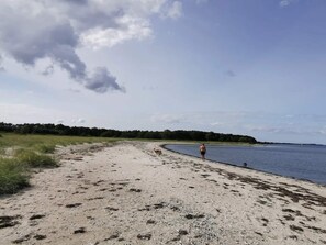 Uma praia com um caminho de areia, uma pessoa caminhando e um cão.