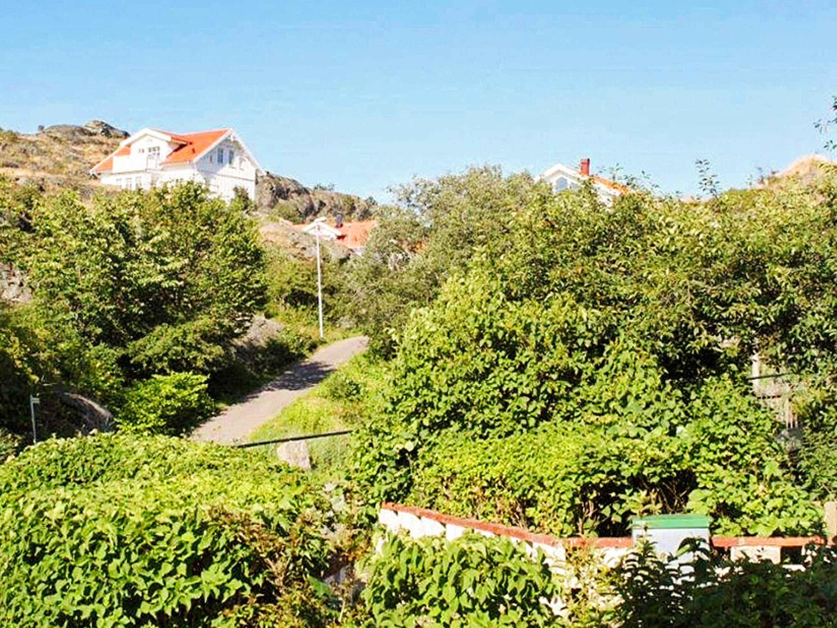 Área residencial com casas, um caminho e vegetação densa.