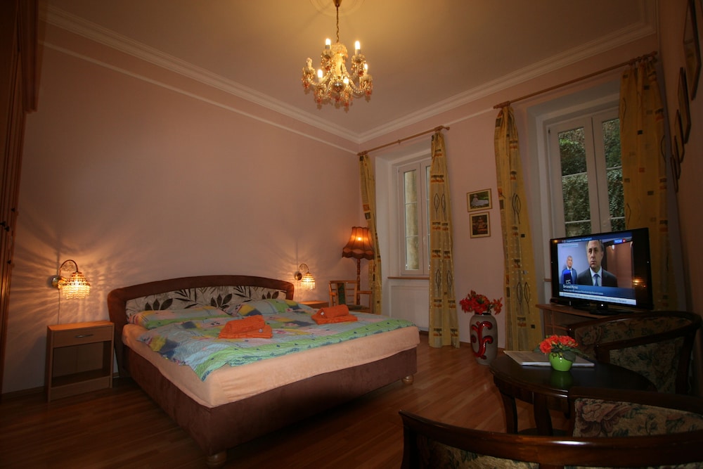 Apartment No. 2 Tržiště 29 - Karlovy Vary