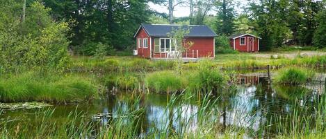 Uma cabana vermelha com varanda, rodeada por um lago e vegetação densa.