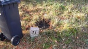 Uma lixeira preta e uma pedra com o número '31' numa área gramada.