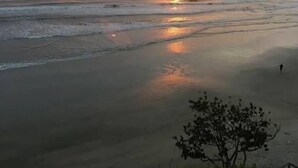 Apartamento | Vista para praia/oceano