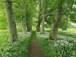 Casa | Terrenos do alojamento