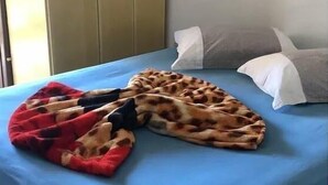 Casa | 3 quartos, Wi-fi grátis, roupa de cama fornecida 