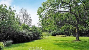 Um parque verdejante com diversas árvores e arbustos, uma área gramada e um pequeno conjunto de flores brancas em primeiro plano.
