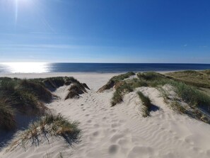 Uma praia com dunas de areia e vista clara do oceano.