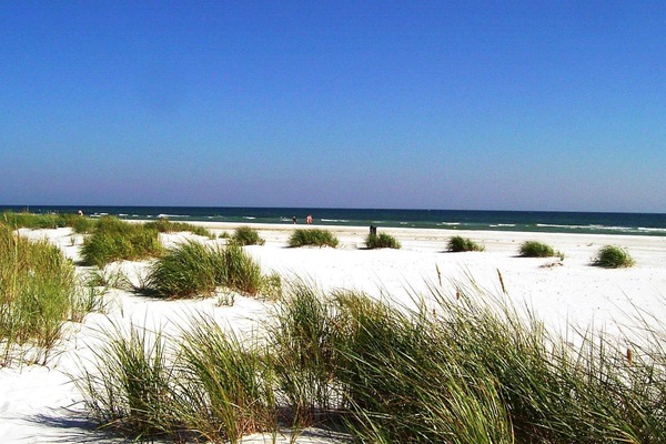 Casa | Vista da propriedade