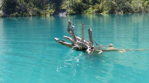 Um lago azul-turquesa límpido com um tronco de árvore grande e envelhecido no centro.
