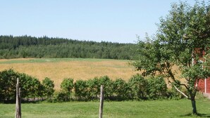 Paisagem rural com um campo, cerca e árvore.