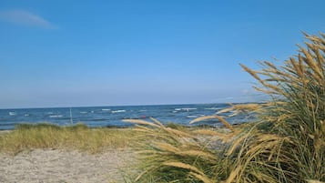 Uma praia com areia, grama e o oceano.