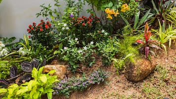 Jardim