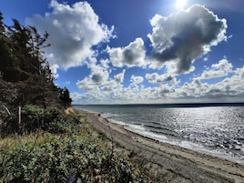 Uma praia com céu claro, ondas do oceano e floresta densa.