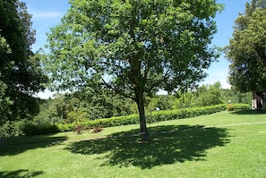 Casa | Jardim