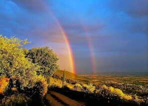 Paisagem com arco-íris e área montanhosa com árvores.
