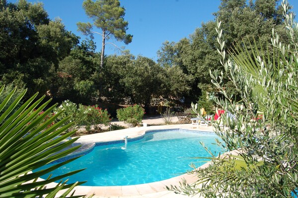 Villa In Gareoult With Private Pool - Brignoles