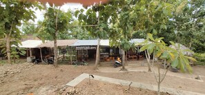 Jardim