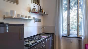 Apartamento, 2 quartos | Cozinha privada | Um frigorífico/congelador grande, um forno, uma placa de cozinha