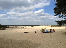 Chalé | Vista do alojamento