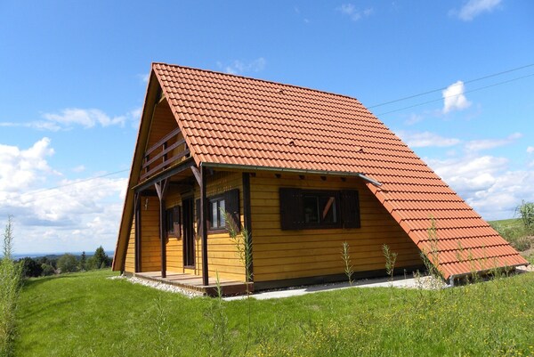 Chalet In Dabo Near Castle Ruins - Moselle