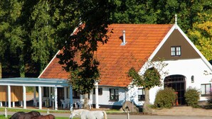 Um edifício com telhado de telhas vermelhas e fachada branca, rodeado por árvores e uma área gramada com cavalos.