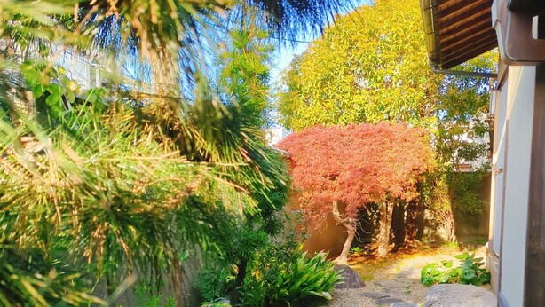 Uma trilha no jardim leva a um edifício com telhado tradicional.
