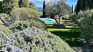 Um jardim ajardinado com piscina, caminho de pedra e arbustos diversos.