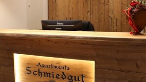 Balcão de atendimento com acabamento em madeira, um laptop e uma planta em vaso.