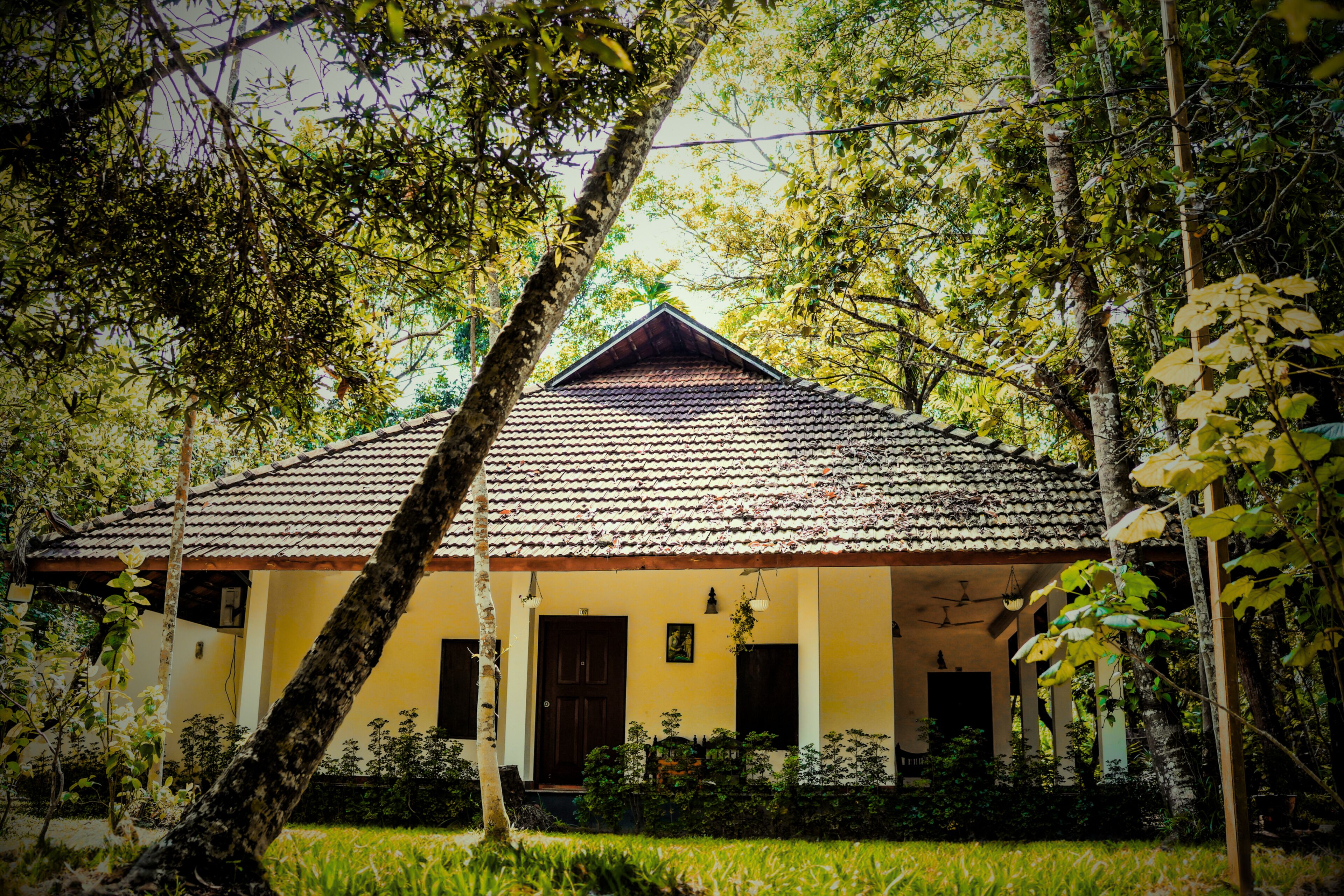 Uma casa com telhado de cerâmica, rodeada por vegetação e árvores.