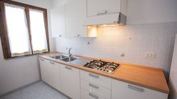 Apartamento, 1 quarto (Piano Terra) | Cozinha privada | Um frigorífico, uma placa de cozinha, utensílios de cozinha