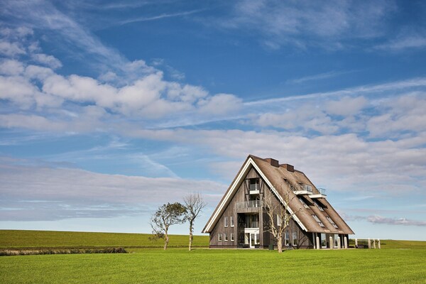 Stately Villa In Wierum With Fantastic Views & Hot Tub - Ameland