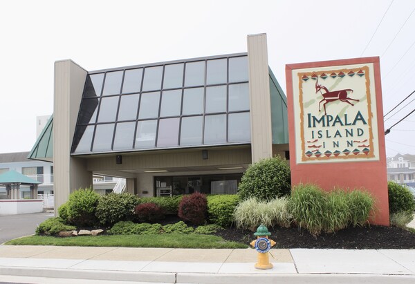 Impala Island Inn - New Jersey